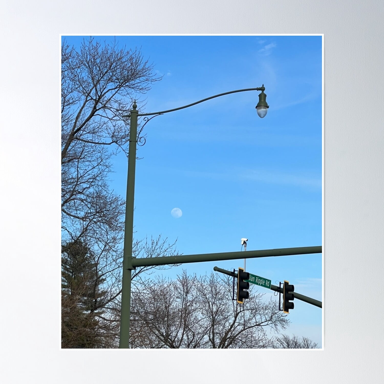 Bloom Theory The Suburban Moon Poster Wall Art, Modern Wall Decor ...