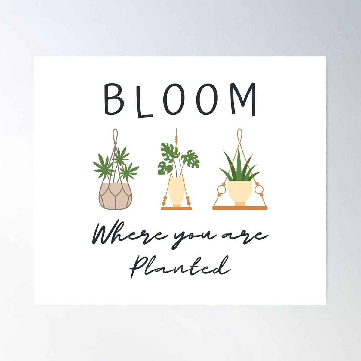 Bloom, Where You Are Planted Poster Wall Art, Modern Wall Decor For ...