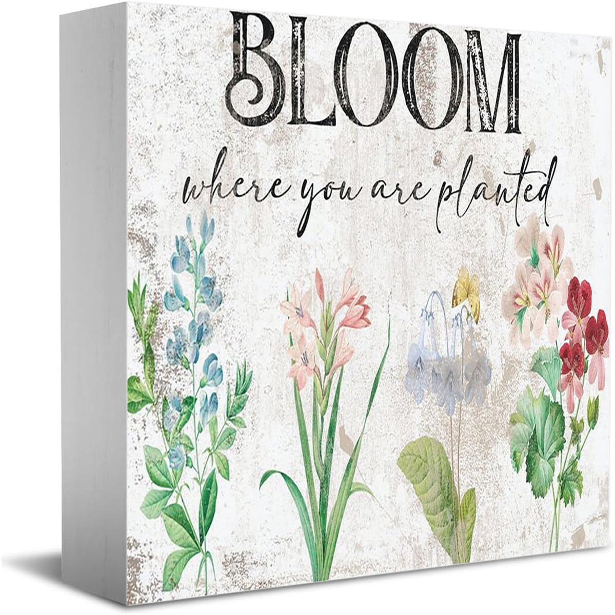 Bloom Where You Are Planted Spring Rustic Spring Office Desk Decor Cute ...