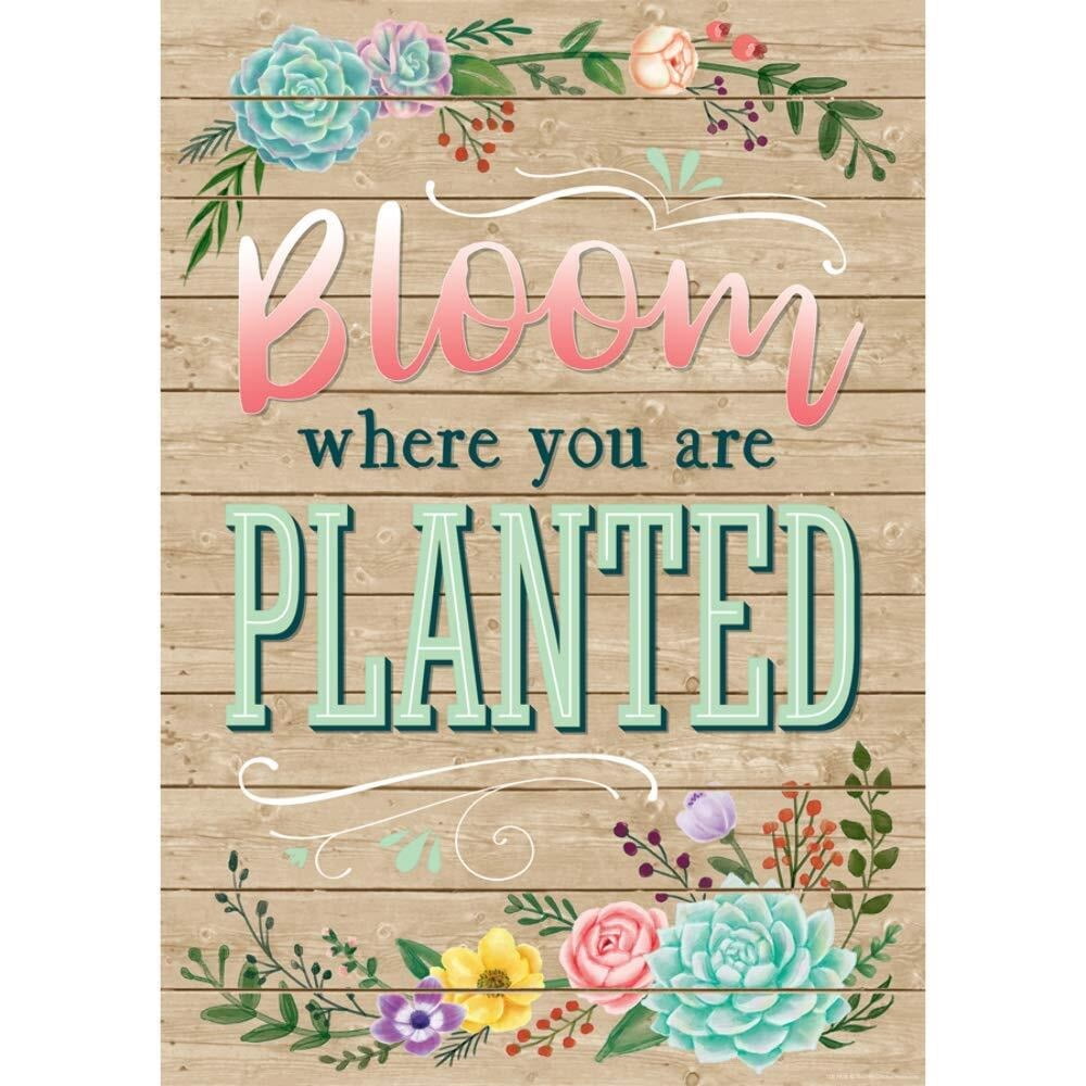 Bloom Where You are Planted Positive Poster - Walmart.com