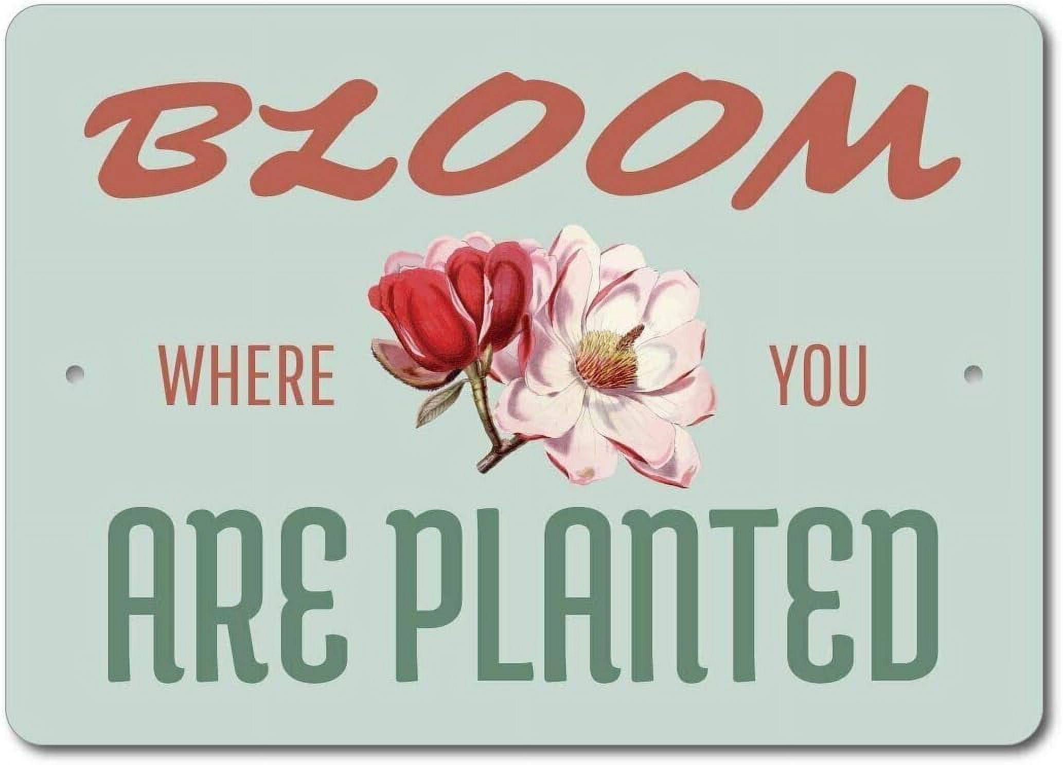Bloom Where You are Planted Sign, Flower Decor, Flower Garden Sign ...