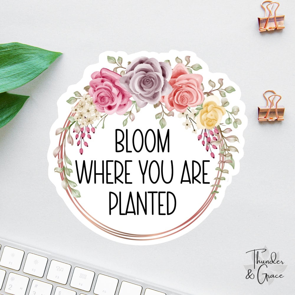 Bloom Where You Are Planted Sticker, Words Of Affirmation, Faith ...