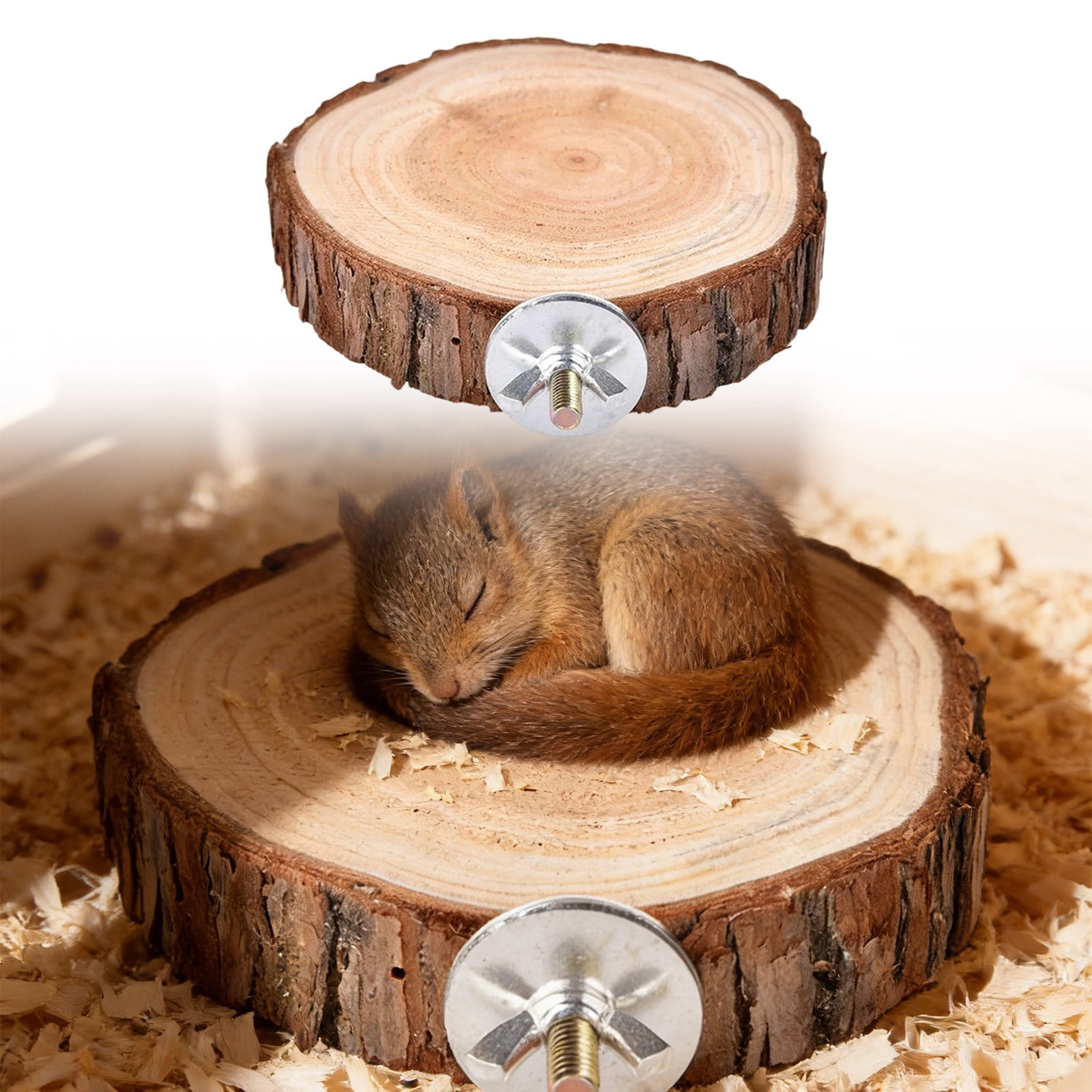 BloomLoom Round Wooden Stand Platform Bird Toy, Birds Round Perch ...