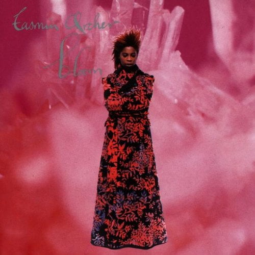 Pre-Owned Bloom - Walmart.com