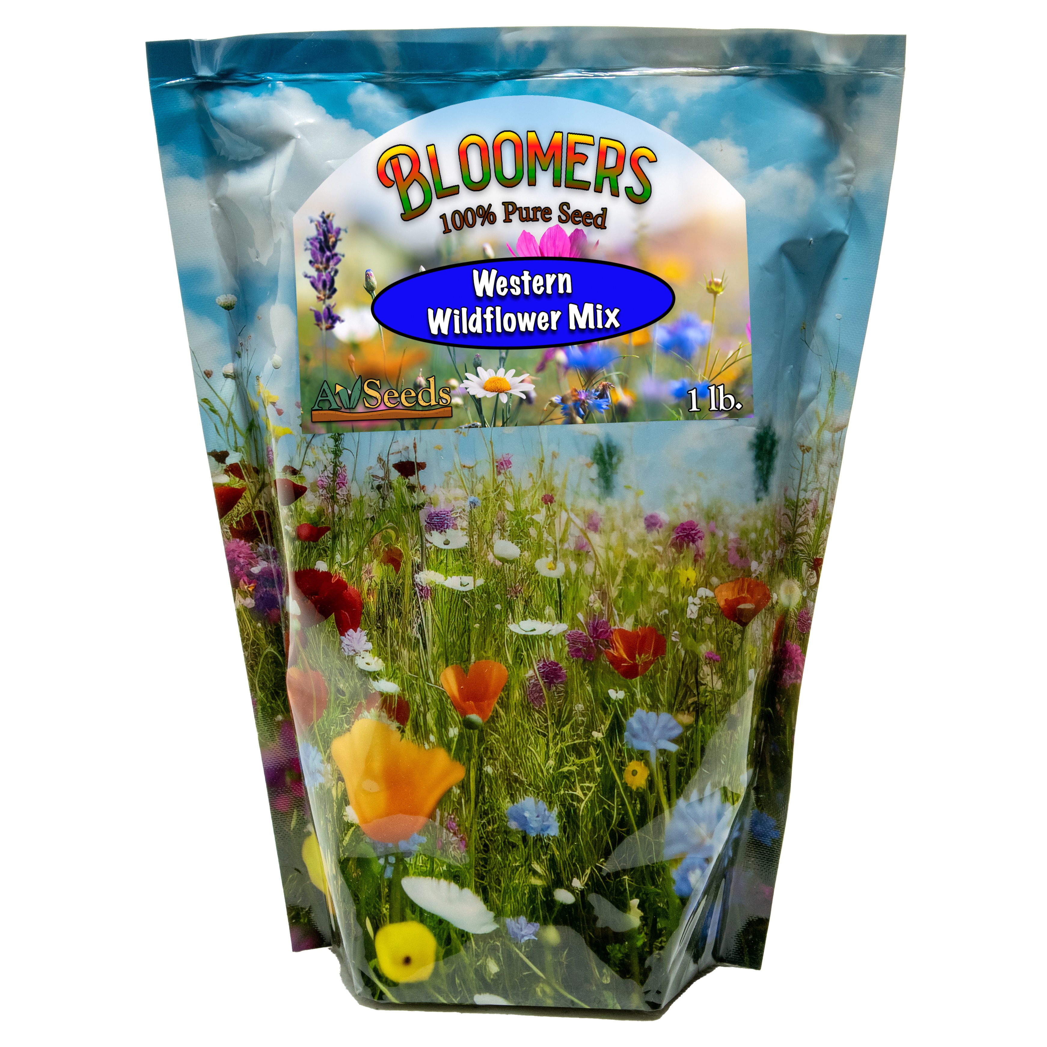 Bloomers 1LB Western Wildflower Mix - 100% Pure Seed, All Season, Low ...