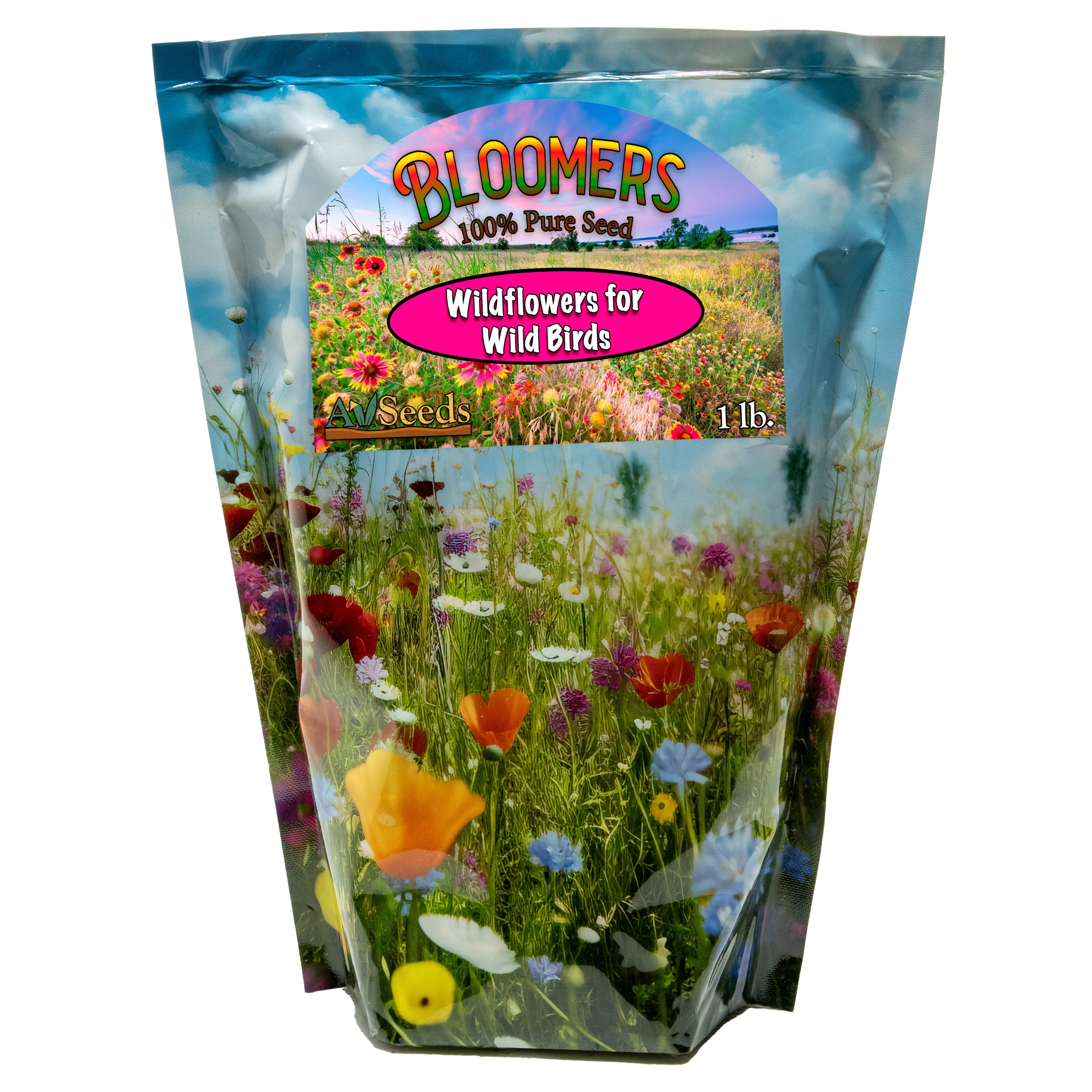 Bloomers 1LB Wildflowers for Wild Birds Mix - 100% Pure Seed, All ...