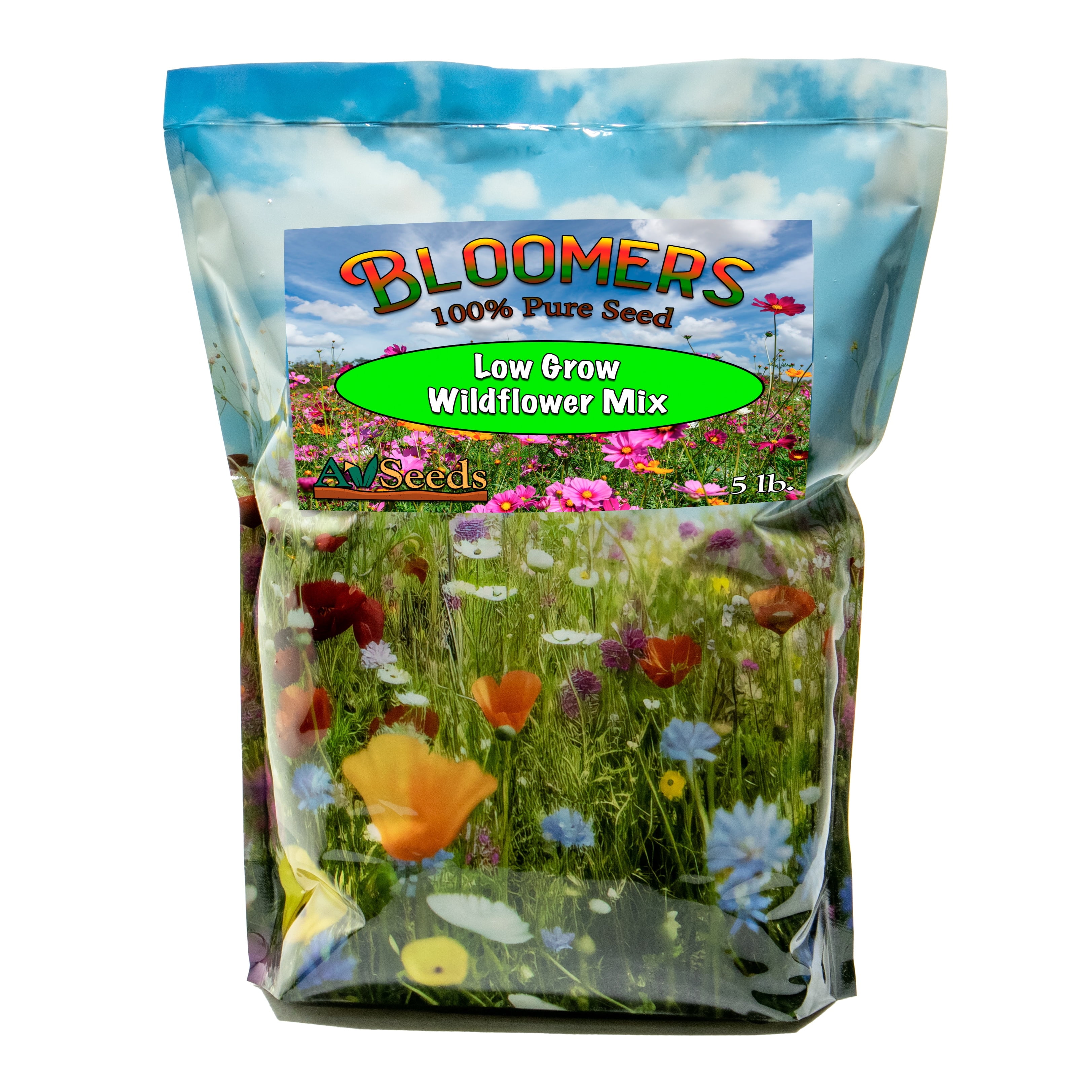 Bloomers 5LB Low Grow Wildflower Mix - 100% Pure Seed, All Season, Low ...