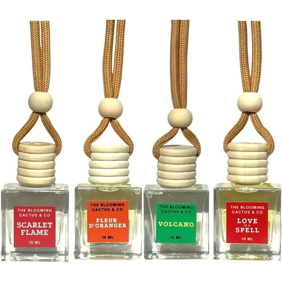 The Blooming Cactus & Co. 4 Pack Air fresheners | Premium Car Diffuser ...
