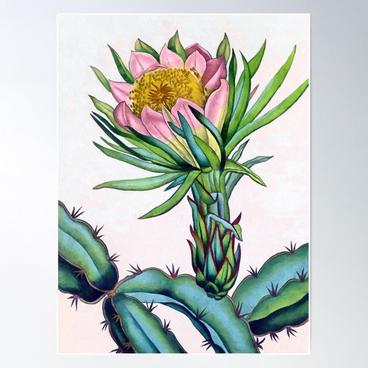 Blooming Cactus Poster Wall Art, Modern Wall Decor For Living Room ...