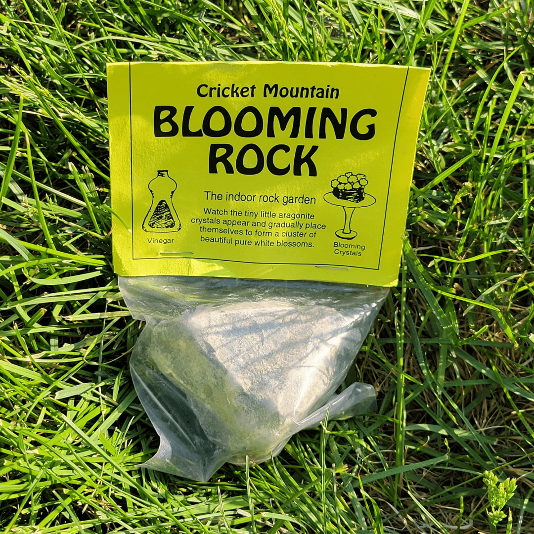 Blooming Rock - Walmart.com