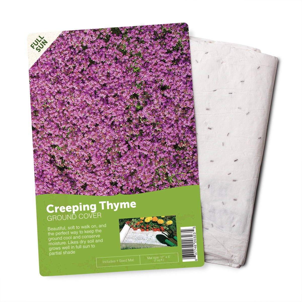 BloomingBulb Creeping Thyme Plant Seeds, Ground Cover - Walmart.com