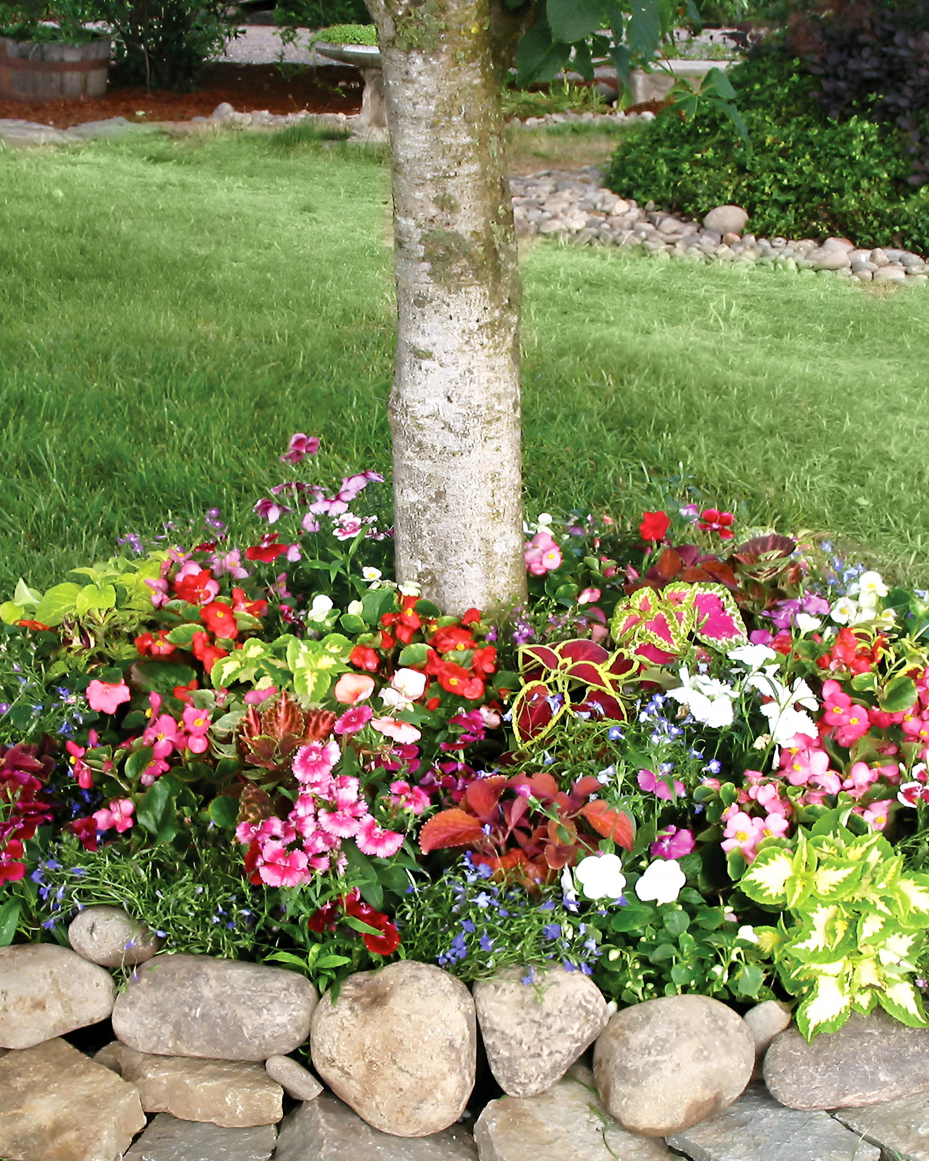 BloomingBulb Seed Mat - Easy to Plant and Grow Garden Seeds - Creates ...