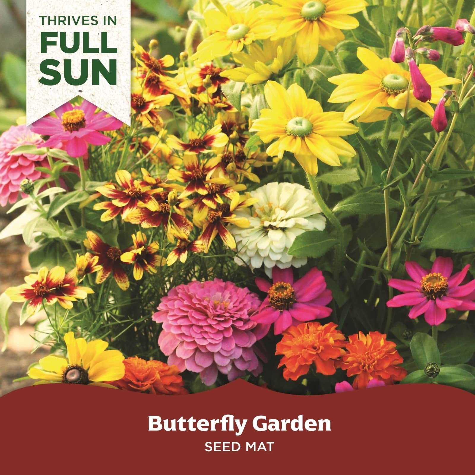BloomingBulb Seed Mat - Easy to Plant H2FSDand Grow Garden Seeds ...