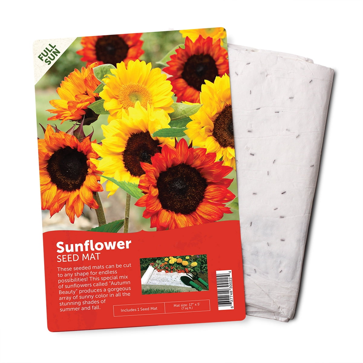 BloomingBulb Sunflower Flower Garden Mat Pack, Autumn Beauty Mixed ...