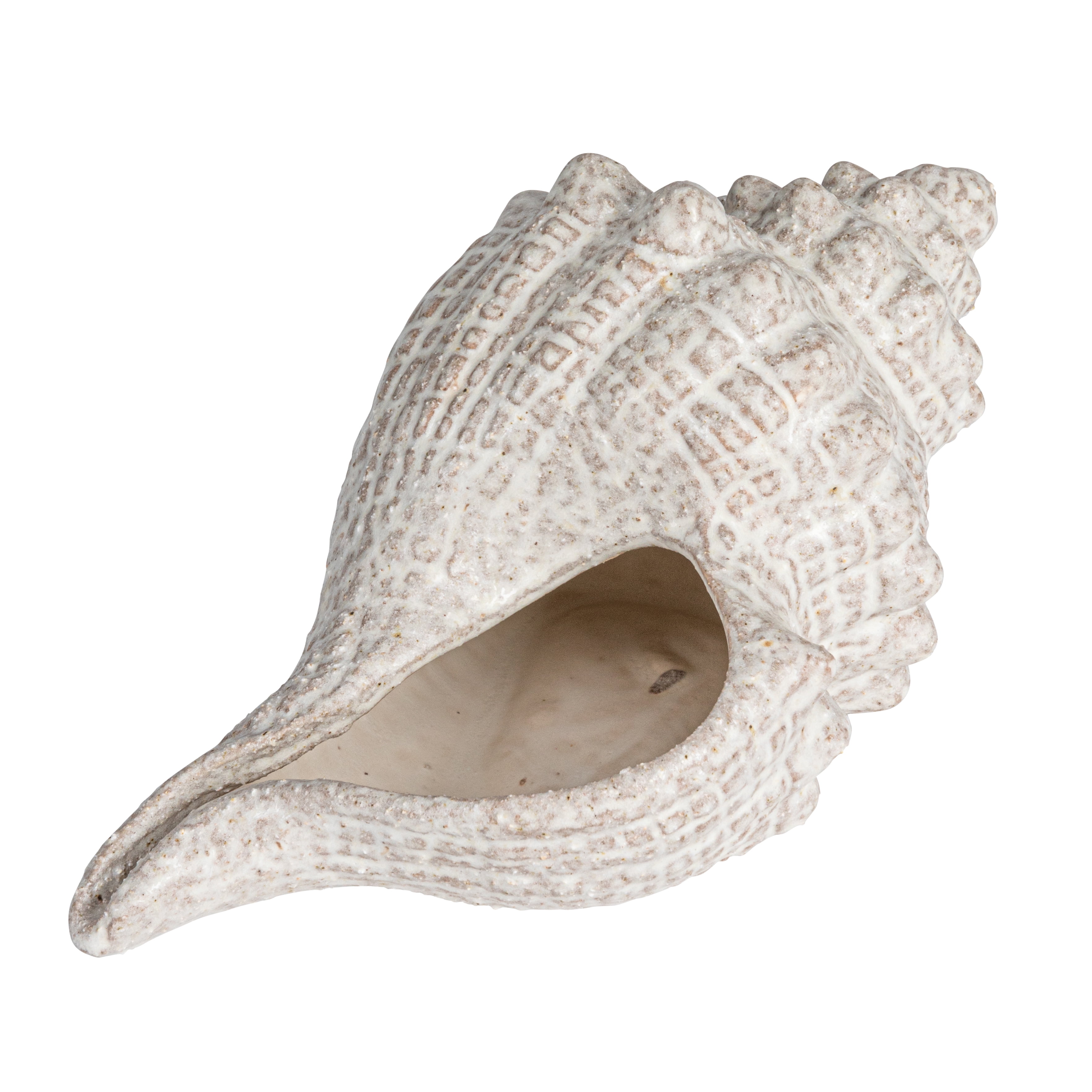 Bloomingville Stoneware Conch Shell Accent Decor, White - Walmart.com
