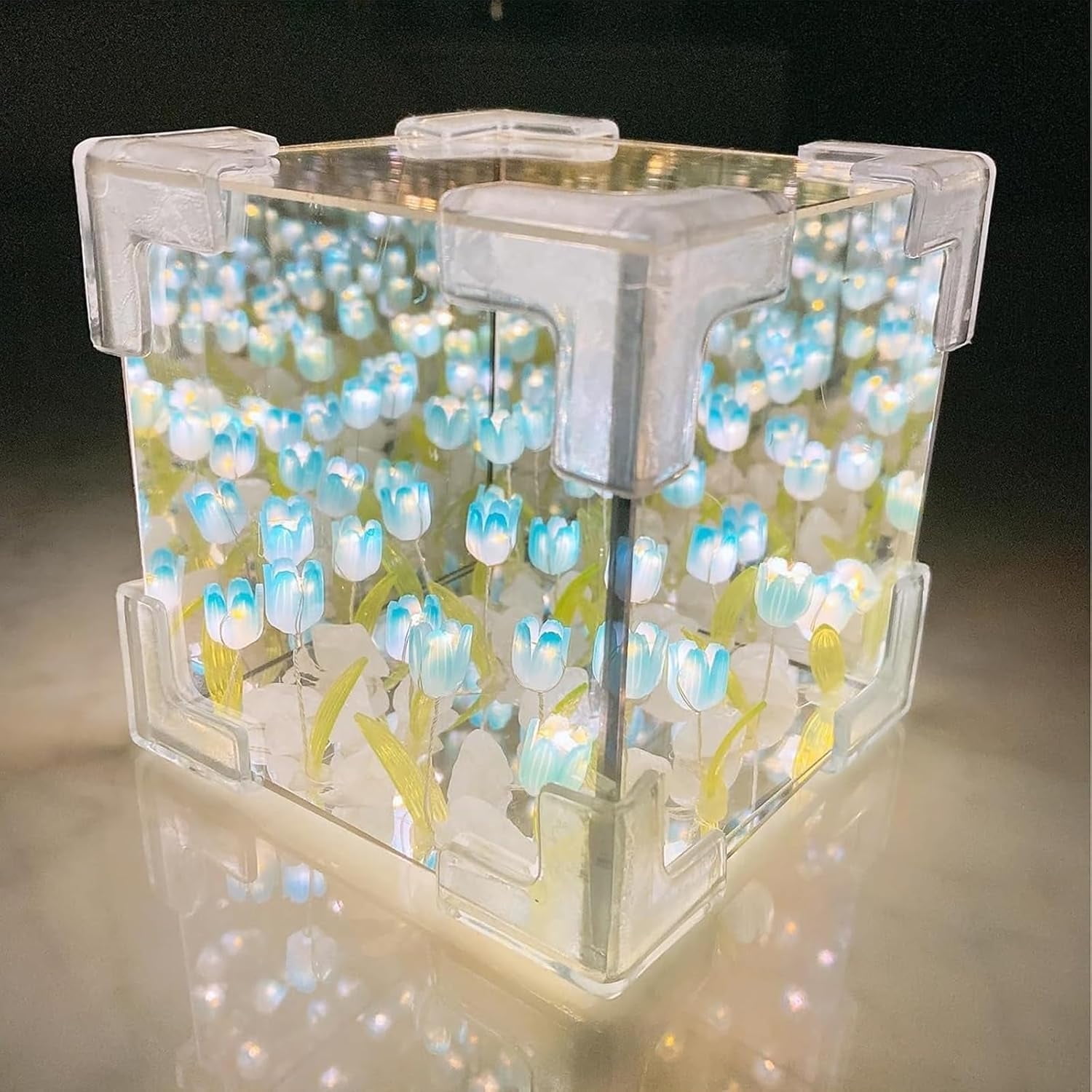 Blossom Box, Tulipanes Infinitos, Blossom Box Tulips, Tulips Box ...