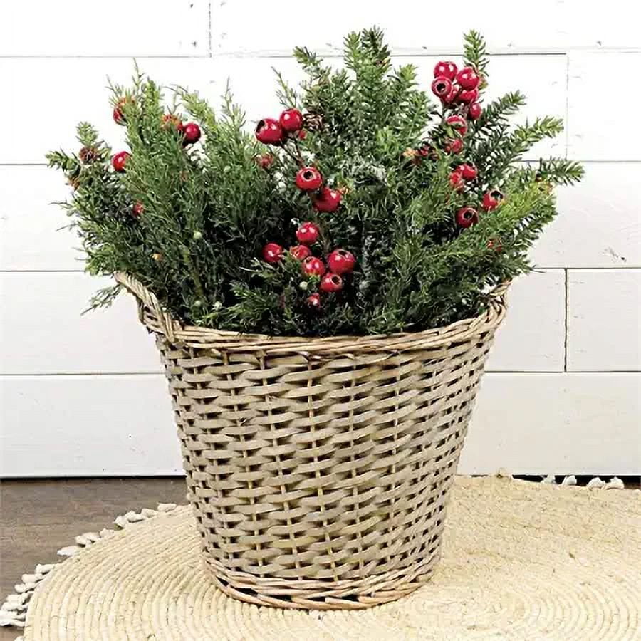 Blossom Bucket 2066-60201 Sliced Wood Two Handled Basket, 16-inch High ...