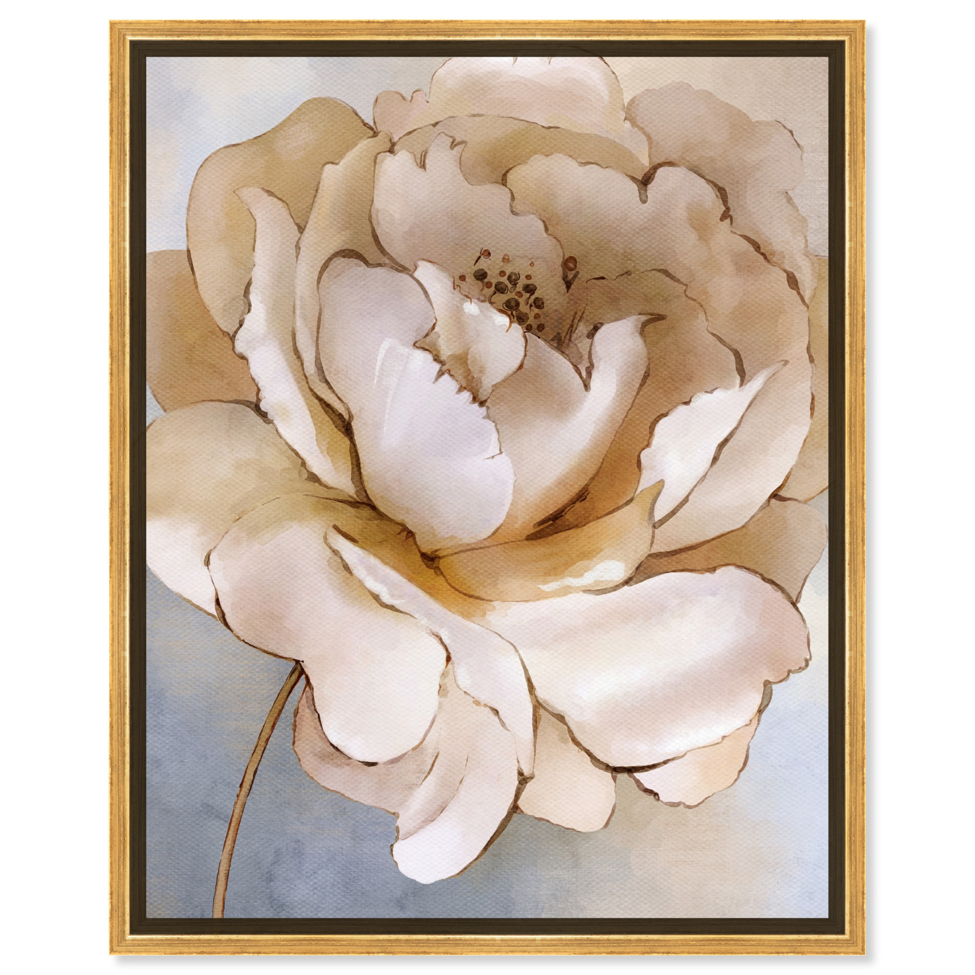Blossoming Vintage Peony Canvas Glamorous Feminine Wall Art by Art ...