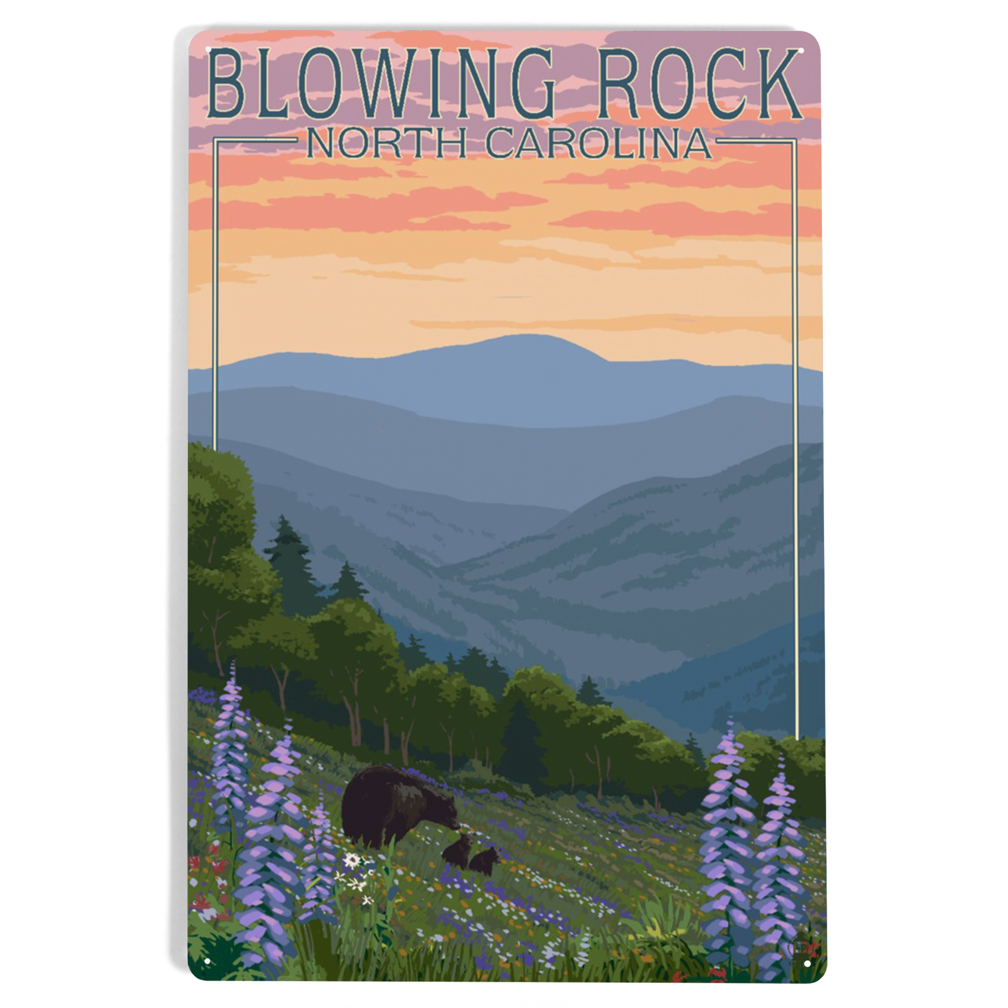 Blowing Rock, North Carolina, Bear snd Spring Flowers (12x18 Aluminum ...