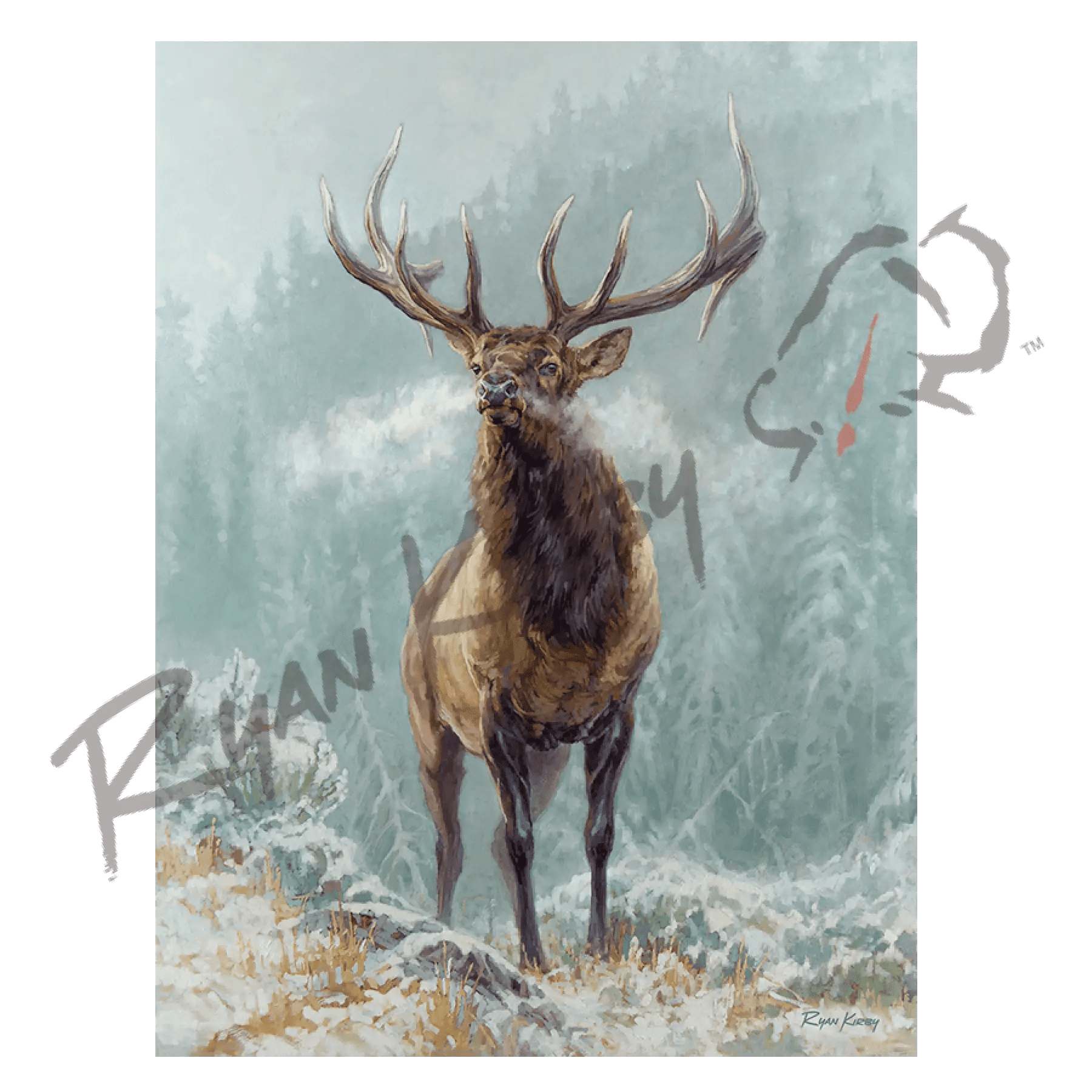 "Blowing Smoke" Bull Elk Canvas Art Print - Walmart.com