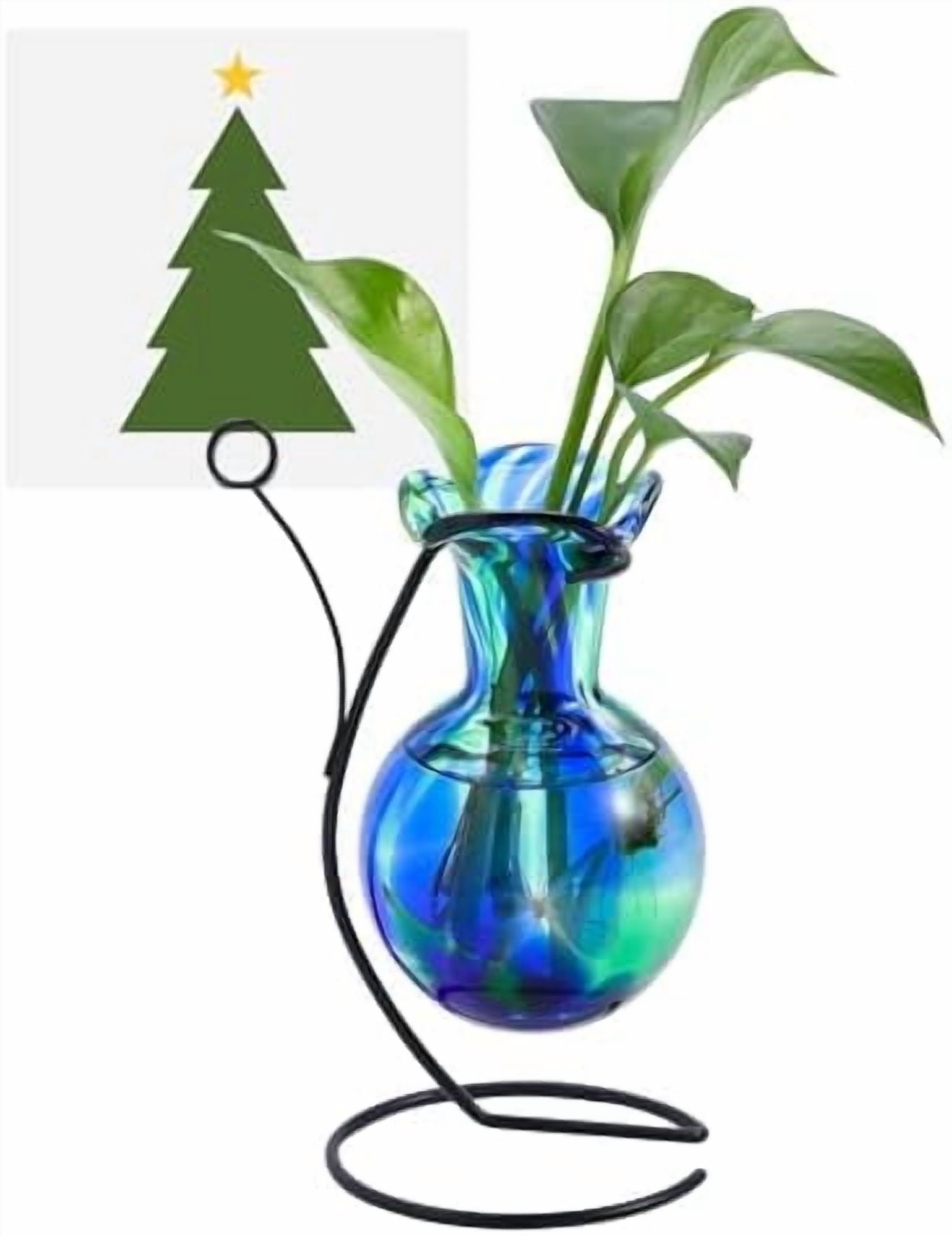 Blown Glass Plant Propagation Station with Metal Stand and Photo Holder ...