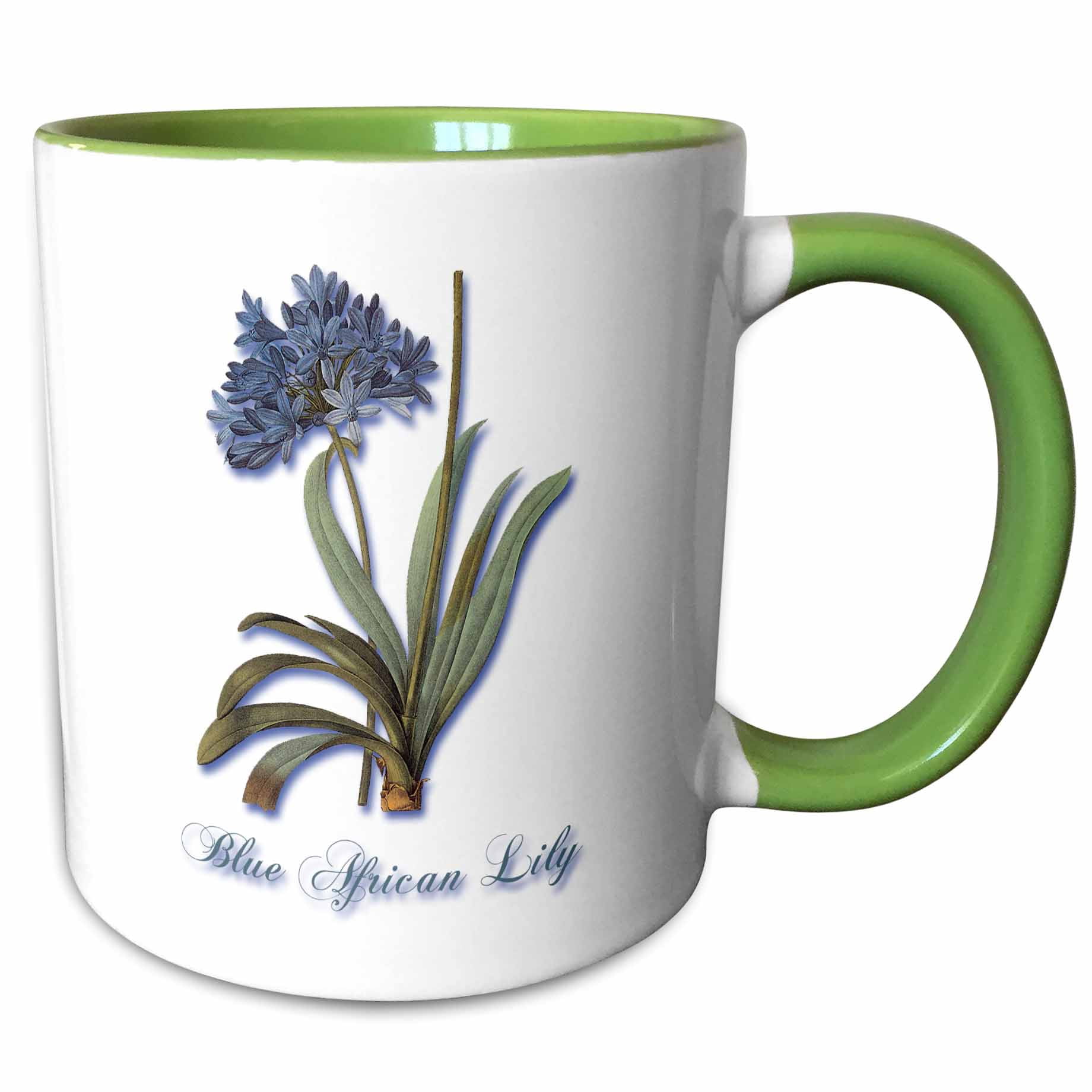 3drose, Blue African Lily, Botanical Print of a Blue Lily Small Flower ...