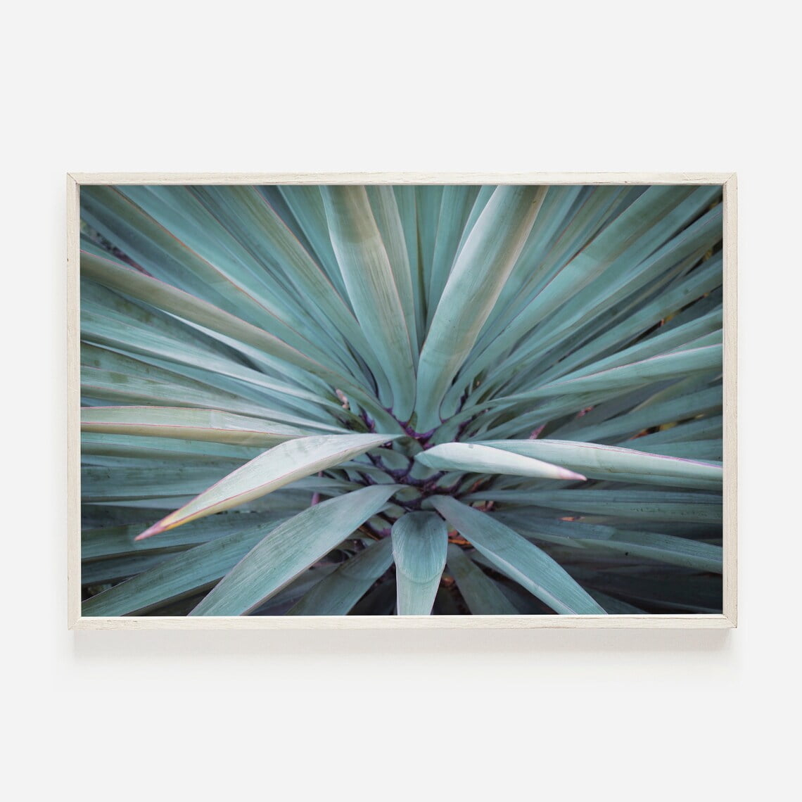 Blue Agave Print, Mexico Wall Art, Agave Farm Poster, Mexico Cactus ...