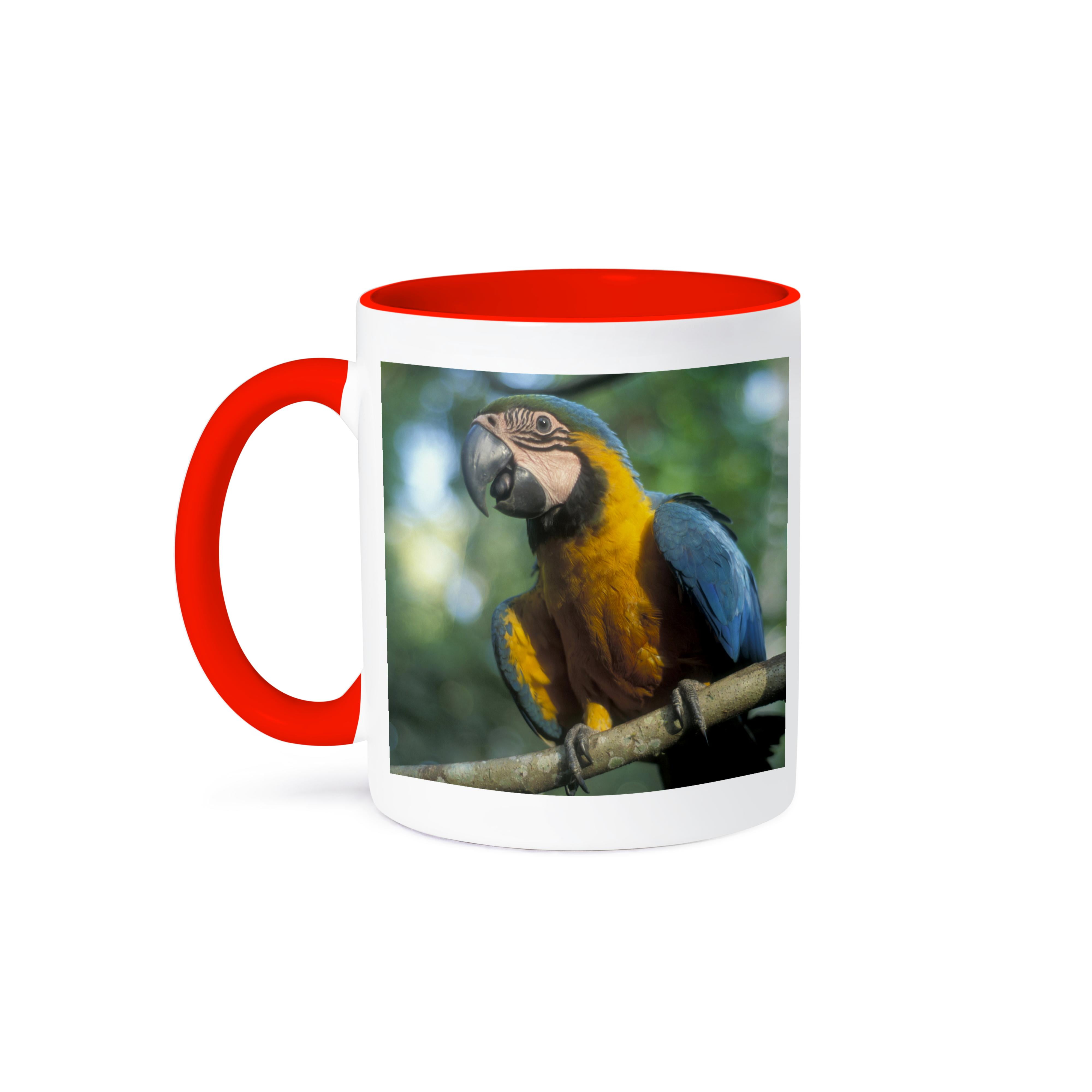 Blue And Yellow Macaw Bird, Tambopata Reserve, Peru - Sa17 Ksc0024 ...