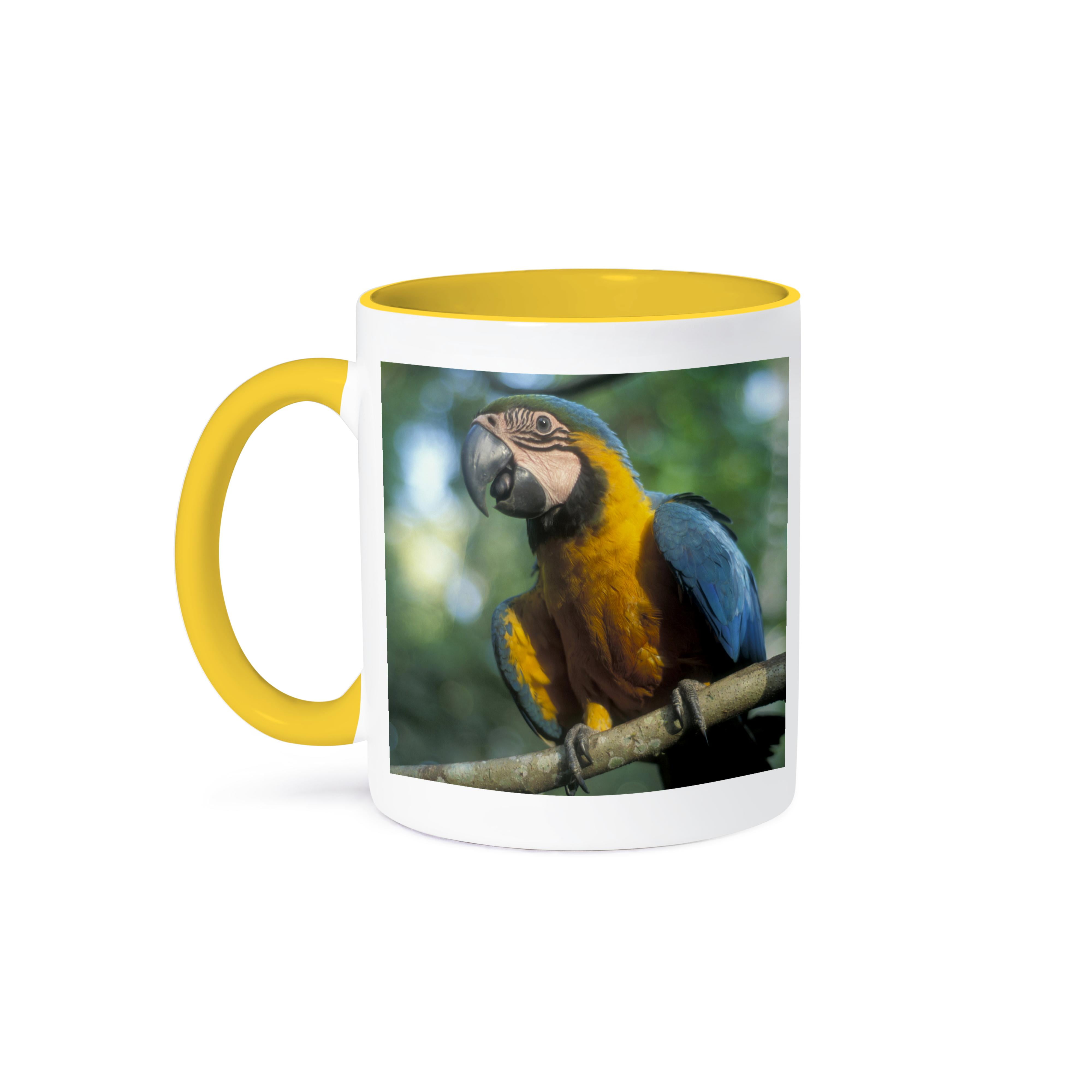 Blue And Yellow Macaw Bird, Tambopata Reserve, Peru - Sa17 Ksc0024 ...