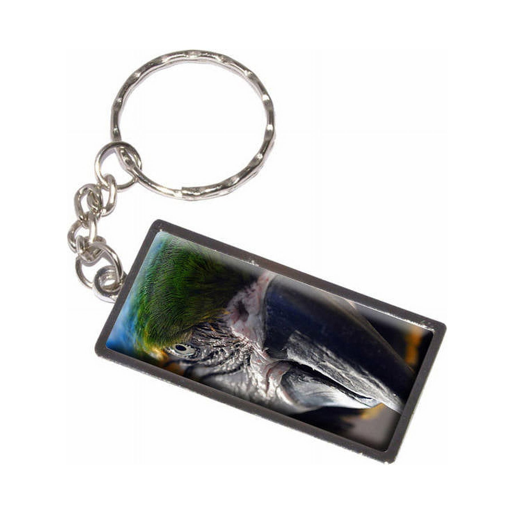 Blue And Yellow Macaw Parrot Ara Bird Keychain Key Chain Ring - Walmart.com