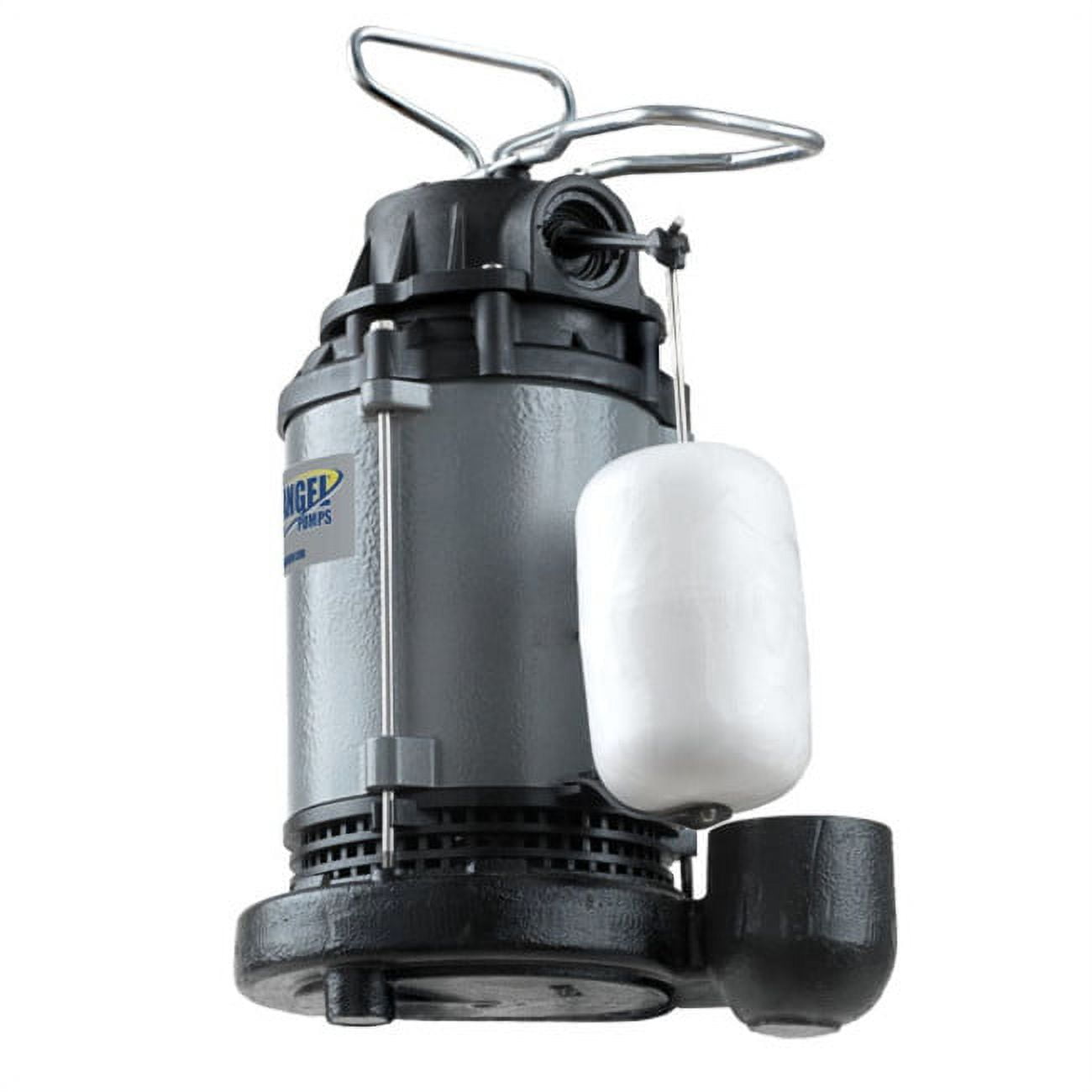 Blue Angel Pump 4926291 Blue Angel 0.33 HP 4620 gph Cast Iron ...