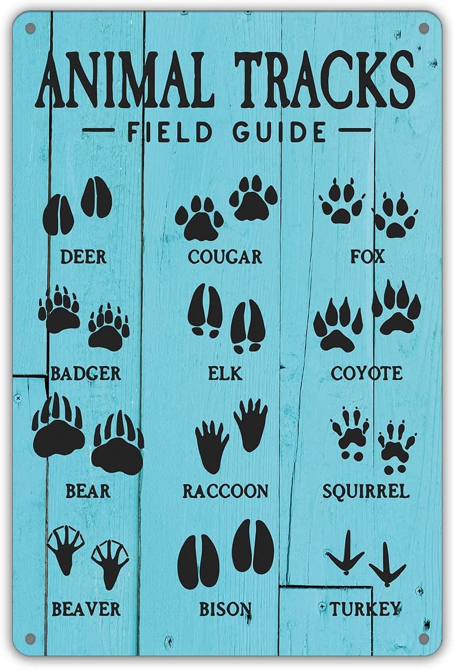 Blue Animal Tracks Field Guide Rustic Educational for Home Nursery ...