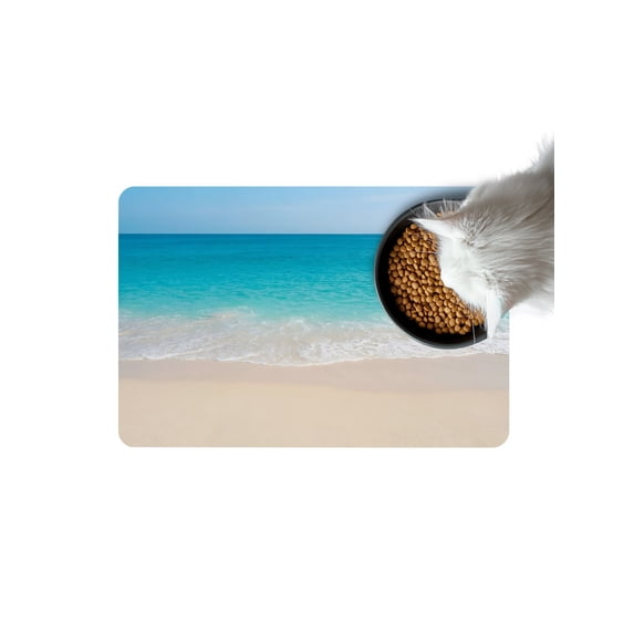 Blue Beach Doormat Non Slip Diatomaceous Earth Door Mat Absorbent Quick ...