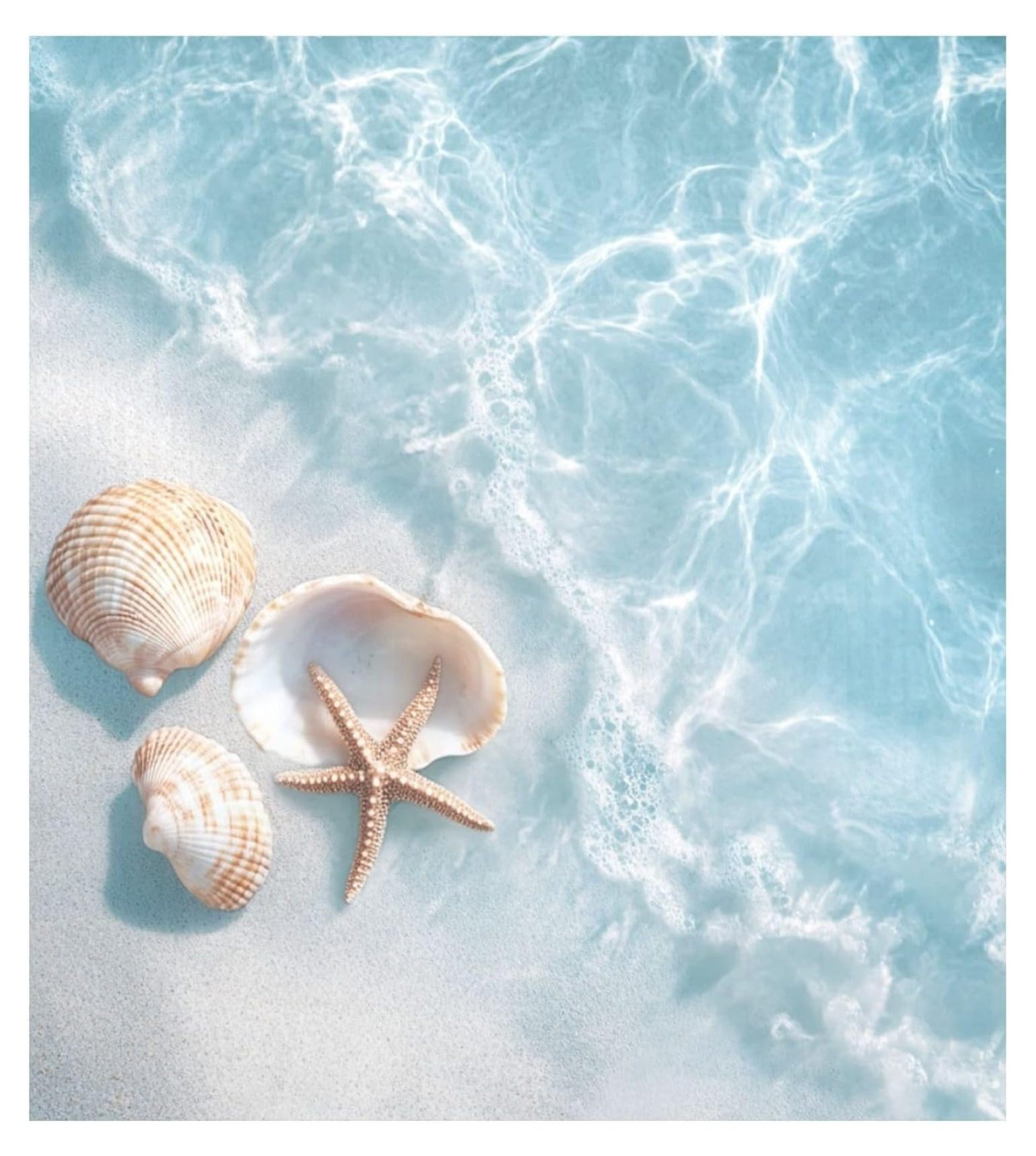 Blue Beach Shells Dishwasher Cover Magnet Decor, 23x26inch Large Metal ...
