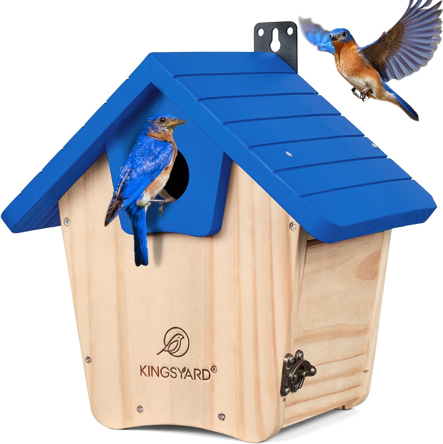 Blue Bird House for Outside - Cedar Wood Nesting Box with Clear View ...