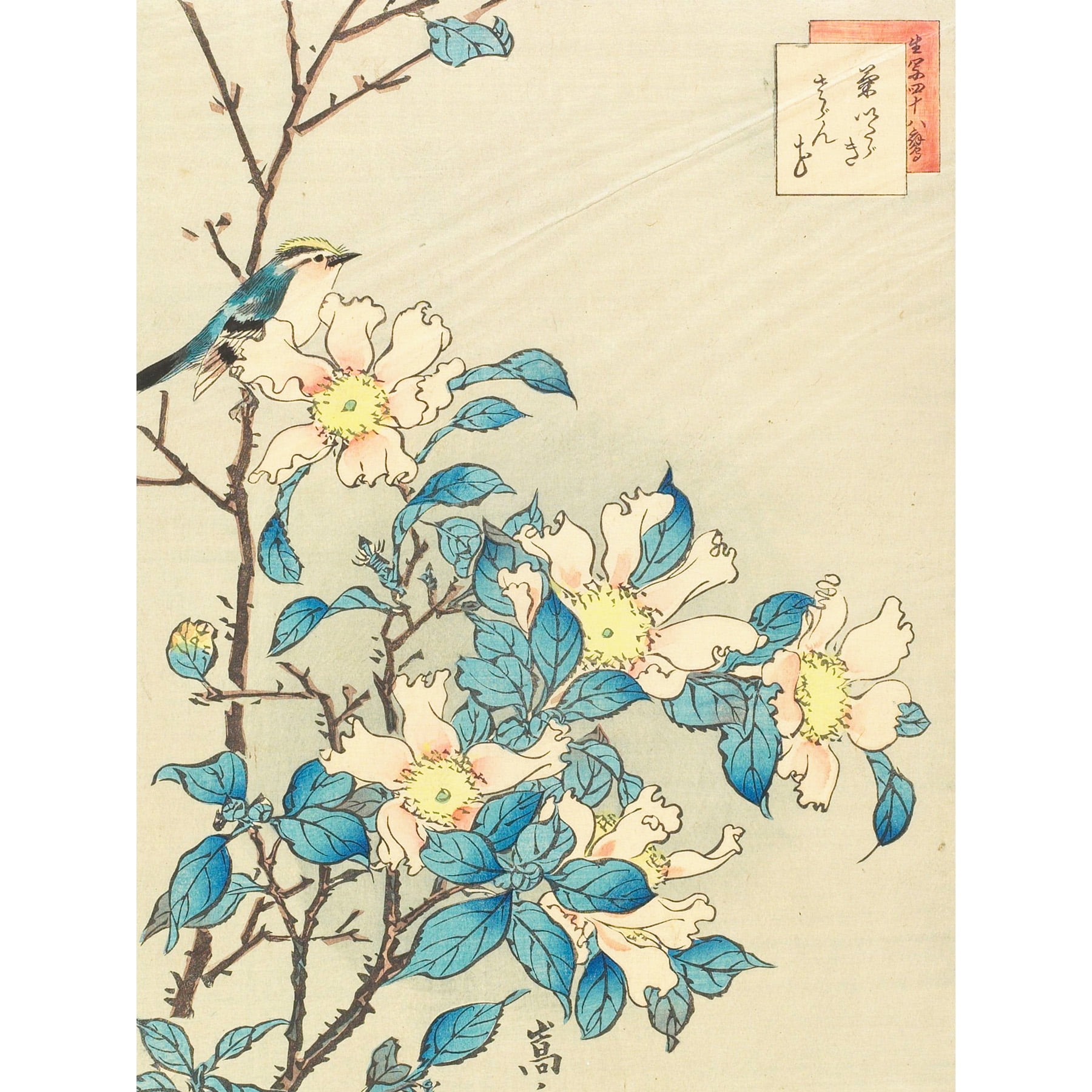 Blue Bird Pink Flowers 1859 Extra Large Art Print Wall Mural Poster ...