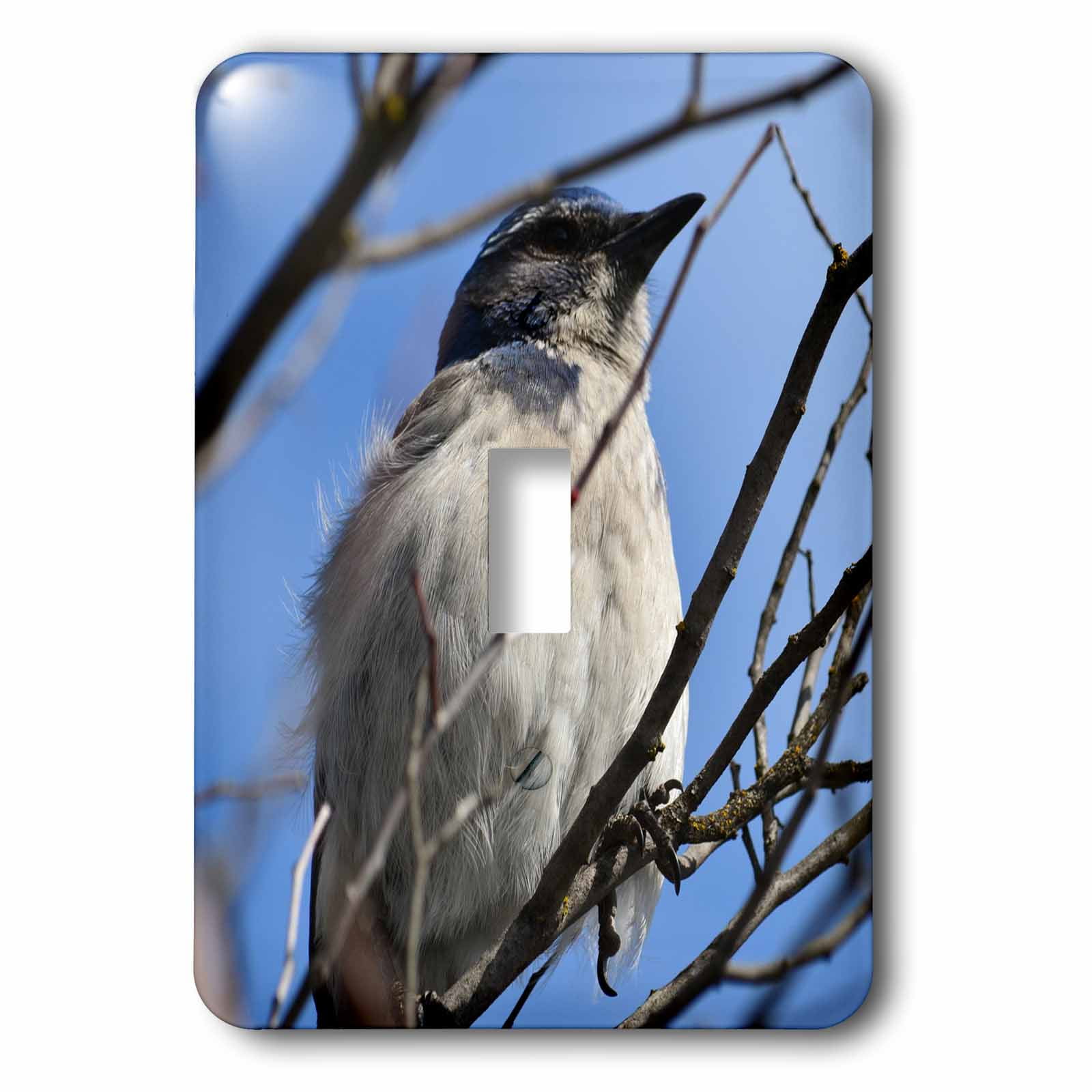 Blue Bird single toggle switch lsp-186751-1 - Walmart.com