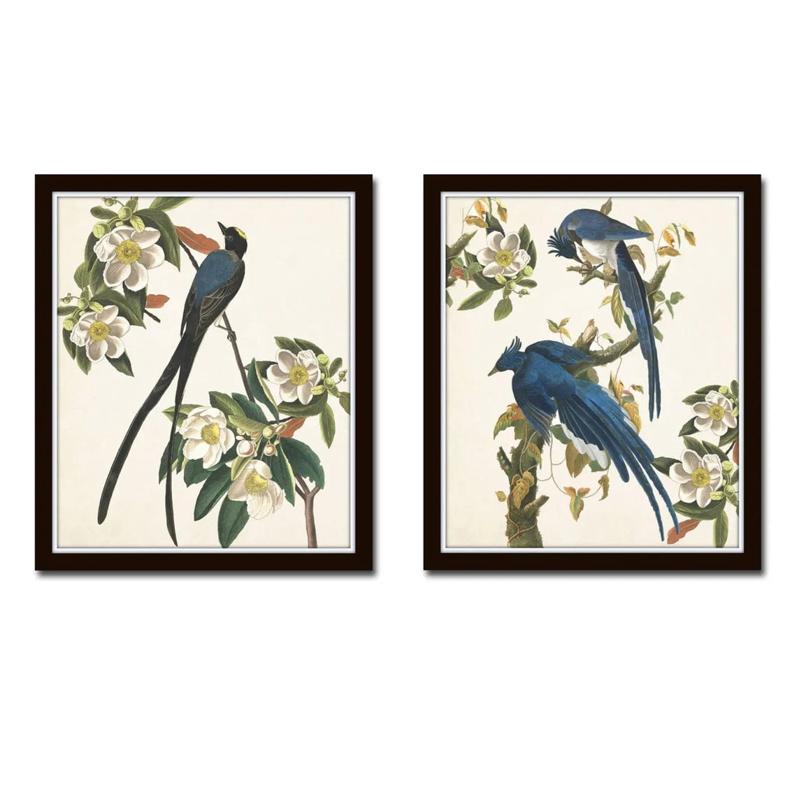 Blue Birds No 1 Wall Art Prints, Vintage Botanical, Audubon, Magnolia ...