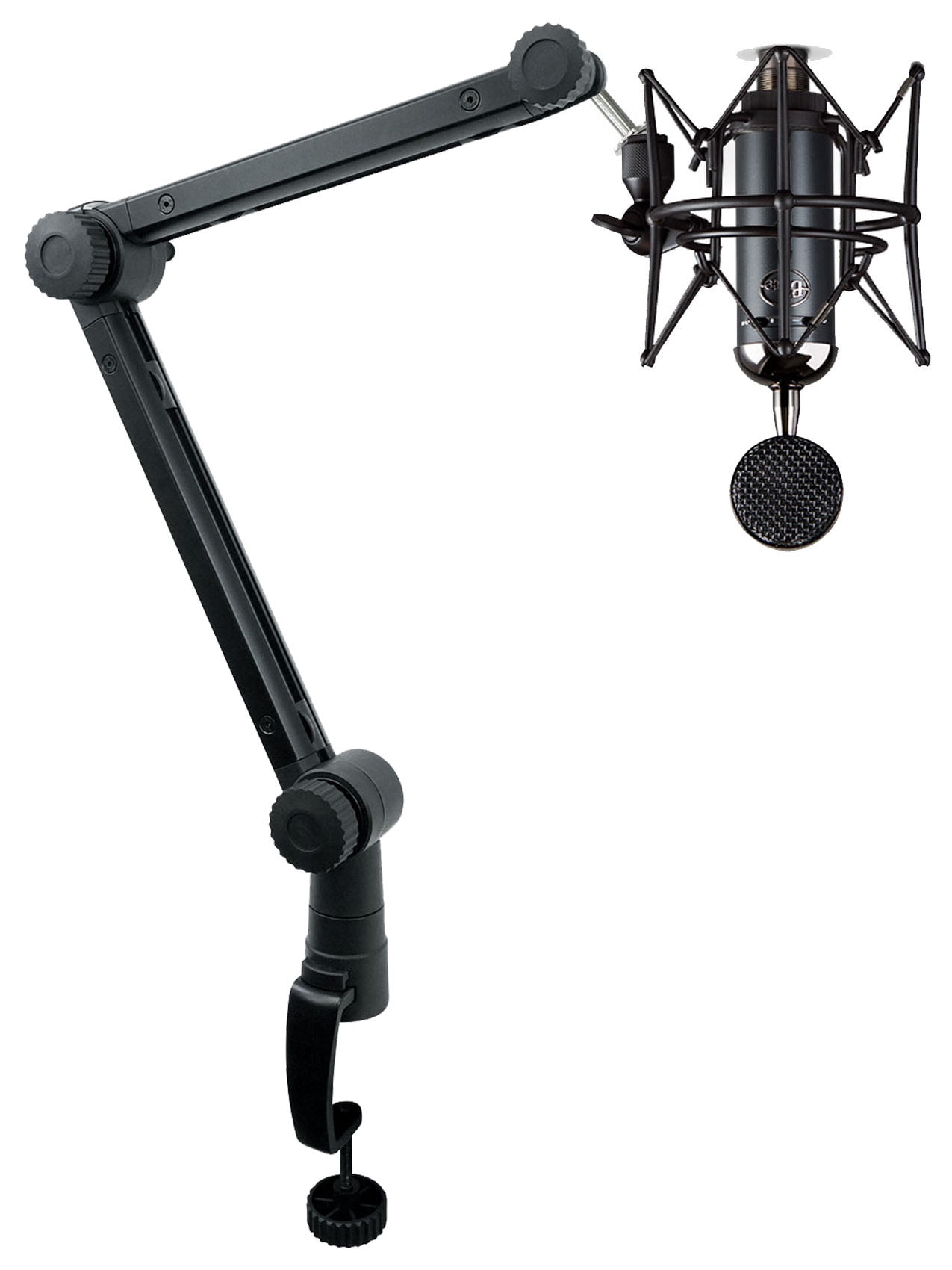 Blue Blackout Spark SL Studio Condenser Recording Microphone+Pro Mic ...