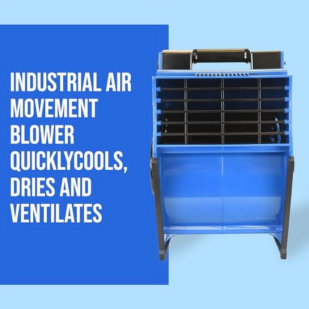 Blue Blower 1200 CFM High Velocity Air Mover, Carpet Dryer, and Floor ...
