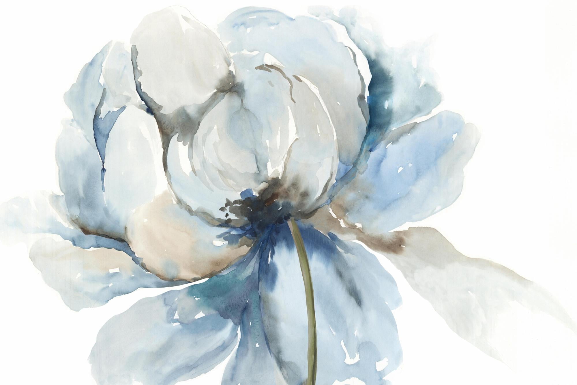 Art.com Blue Blub Flower Art Print by Asia Jensen, 18" x 12" - Walmart.com