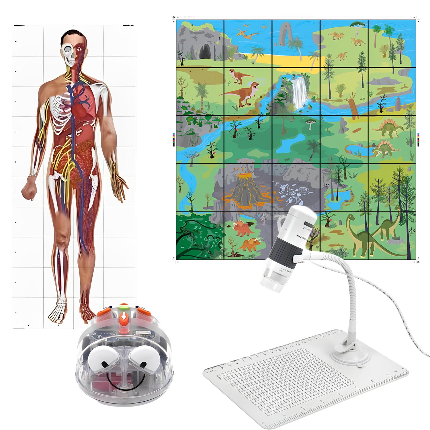 Blue-Bot Science Bundle Programmable Robot See & Say Version with Human ...