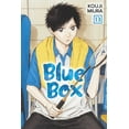 Blue Box Blue Box, Vol. 13, Book 13, (Paperback) - Walmart.com