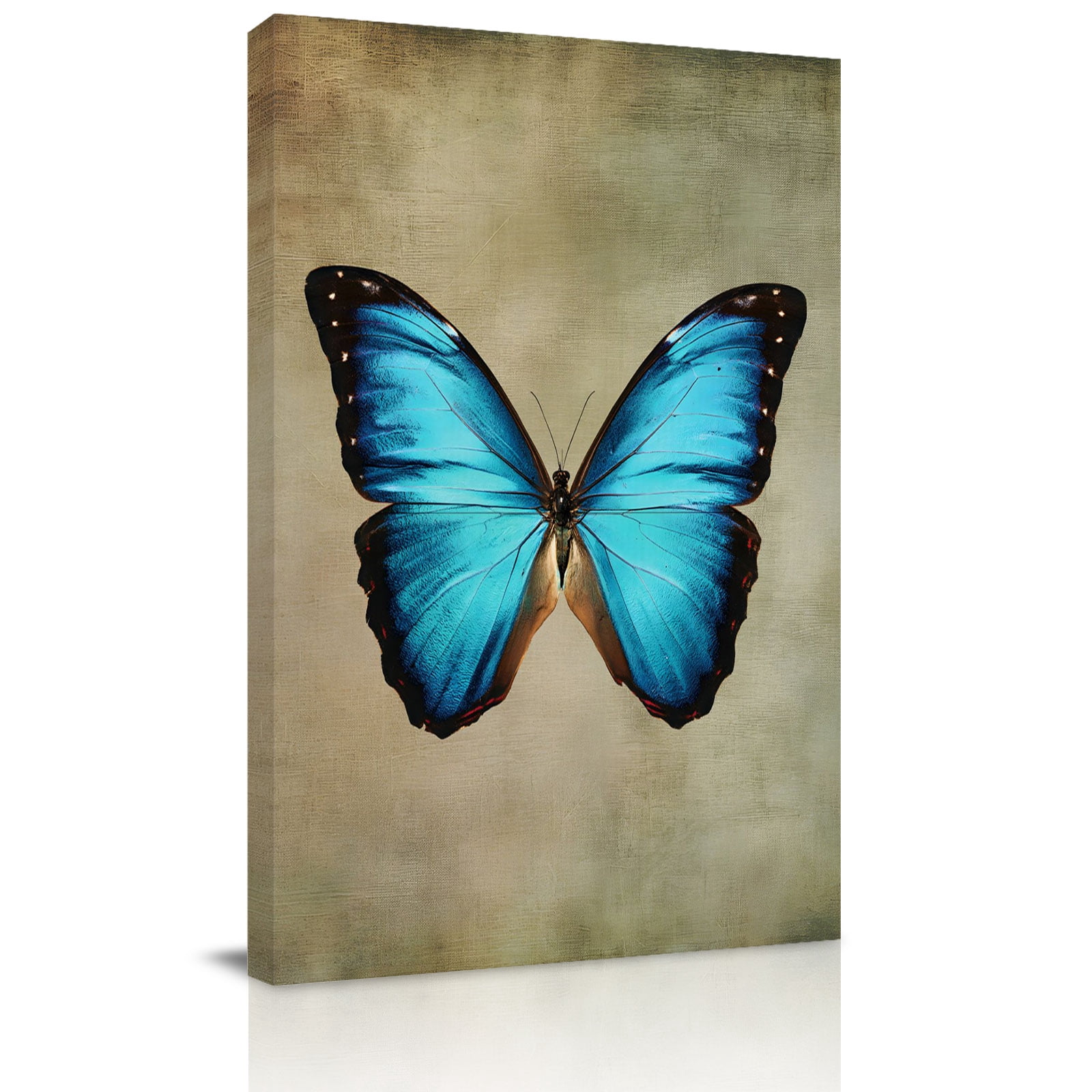 Blue Butterfly Canvas Wall Art for Living Room, Vintage Brown Retro Bug ...