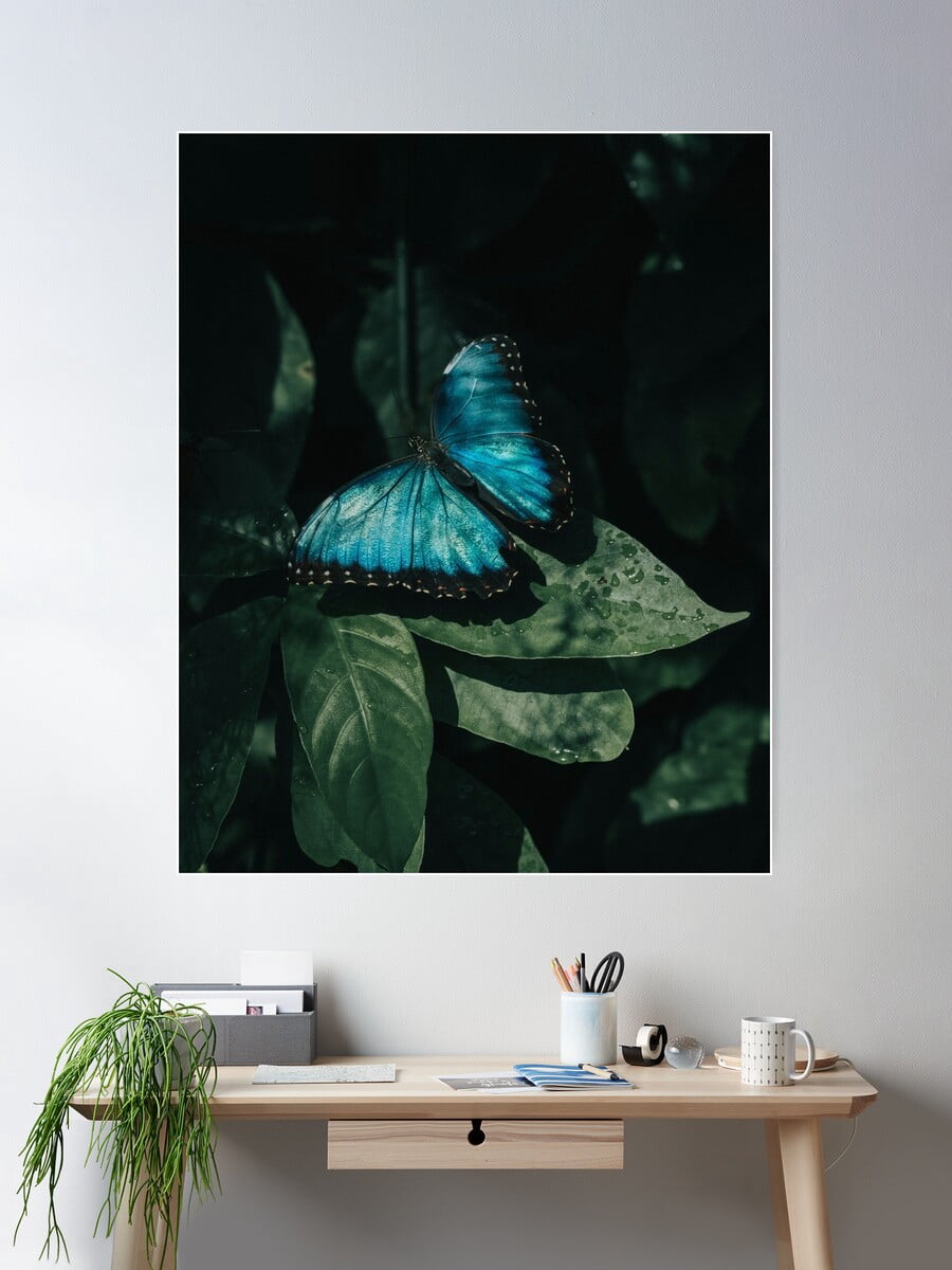 Blue Butterfly Poster Wall Art, Modern Wall Decor For Living Room ...