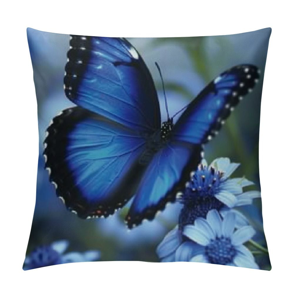 Blue Butterfly Print Fun Cushion Cover Novelty Throw Pillow Case ...