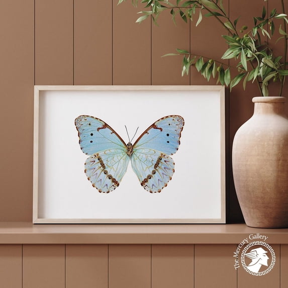 Blue Butterfly Print Vintage Butterfly Decor Rustic Butterfly Art ...