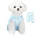 Blue Cat Surgery Onesie for Post-Op Care, E-Collar Alternative for Dogs ...