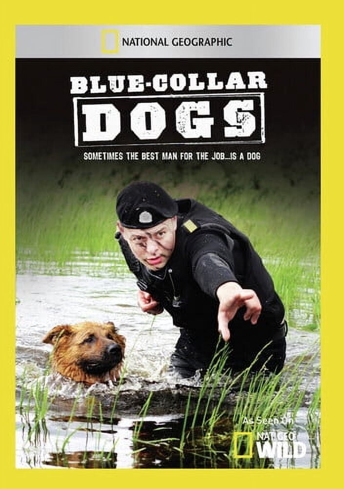 Blue Collar Dogs (DVD), National Geographic, Documentary - Walmart.com