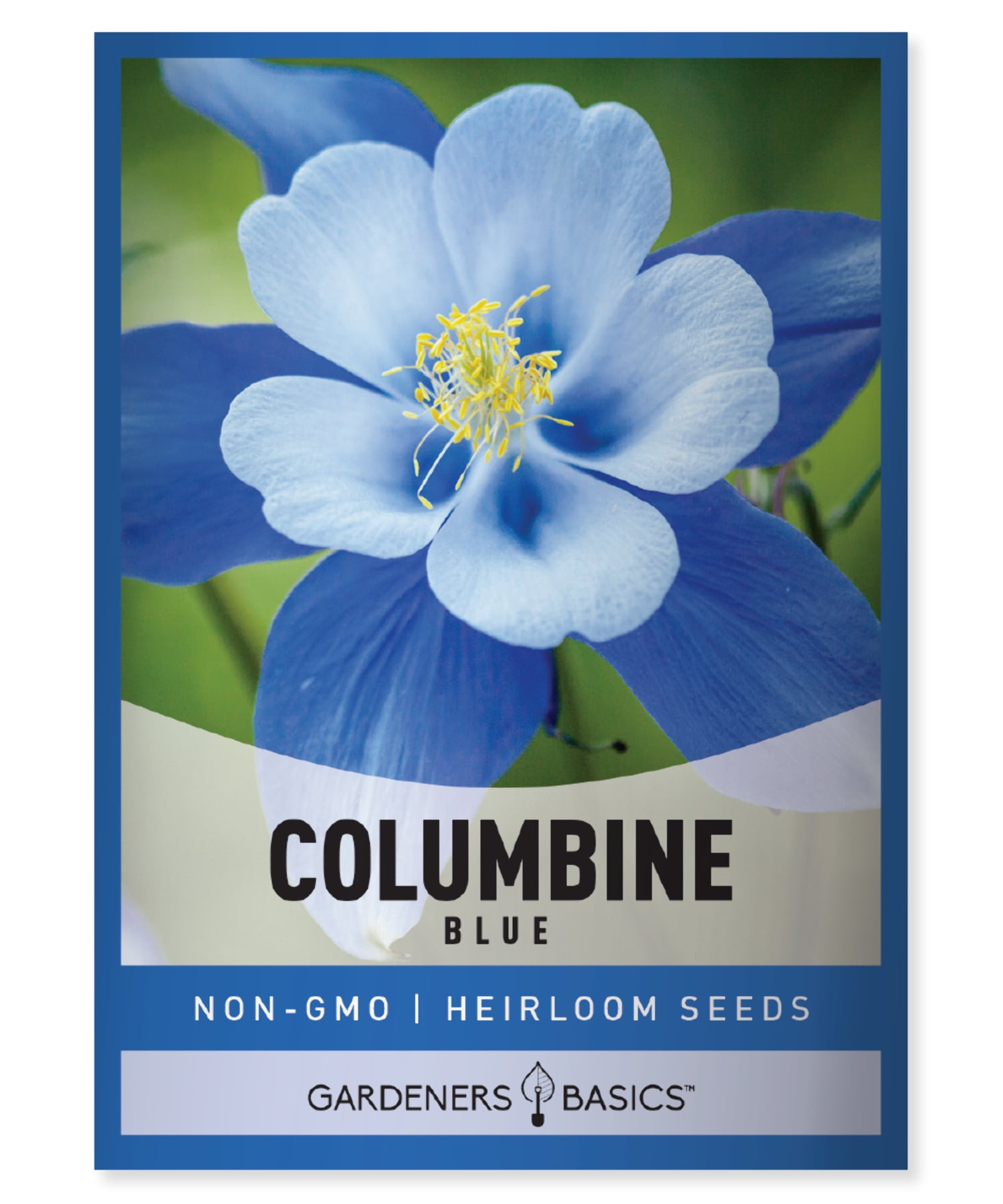 Blue Columbine Seeds - Walmart.com